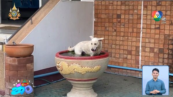 สะเก็ดข่าว | FULL EP | 3 เม.ย.67 | BUGABOO.TV อัปเดตข่าวใหม่ ข่าวช่อง 7HD คลิปข่าวย้อนหลัง ข่าว ...