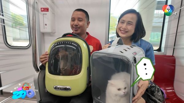 สะเก็ดข่าว : เหมือนเจ้าของ | BUGABOO.TV อัปเดตข่าวใหม่ ข่าวช่อง 7HD คลิปข่าวย้อนหลัง ข่าวโซเชียล ...